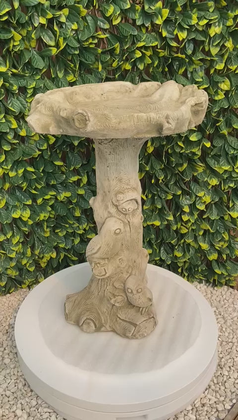 Melmar Stone Little Owl Birdbath — Adore Your Garden